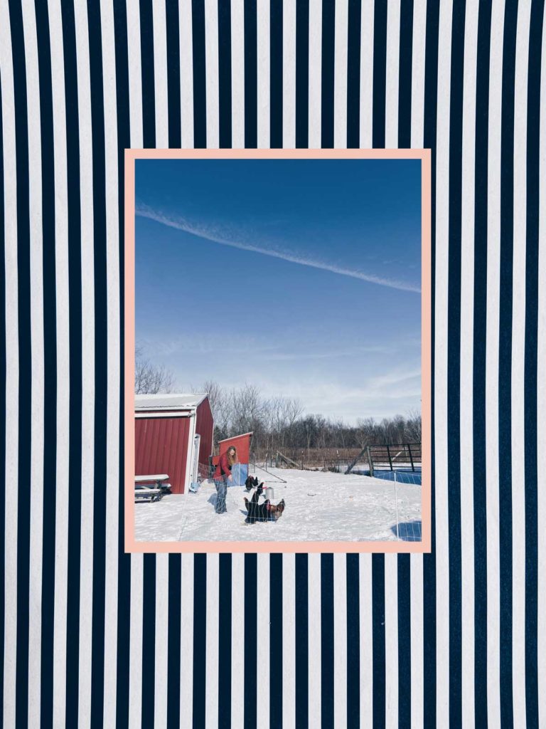 Rachel Schultz - On Homemaking